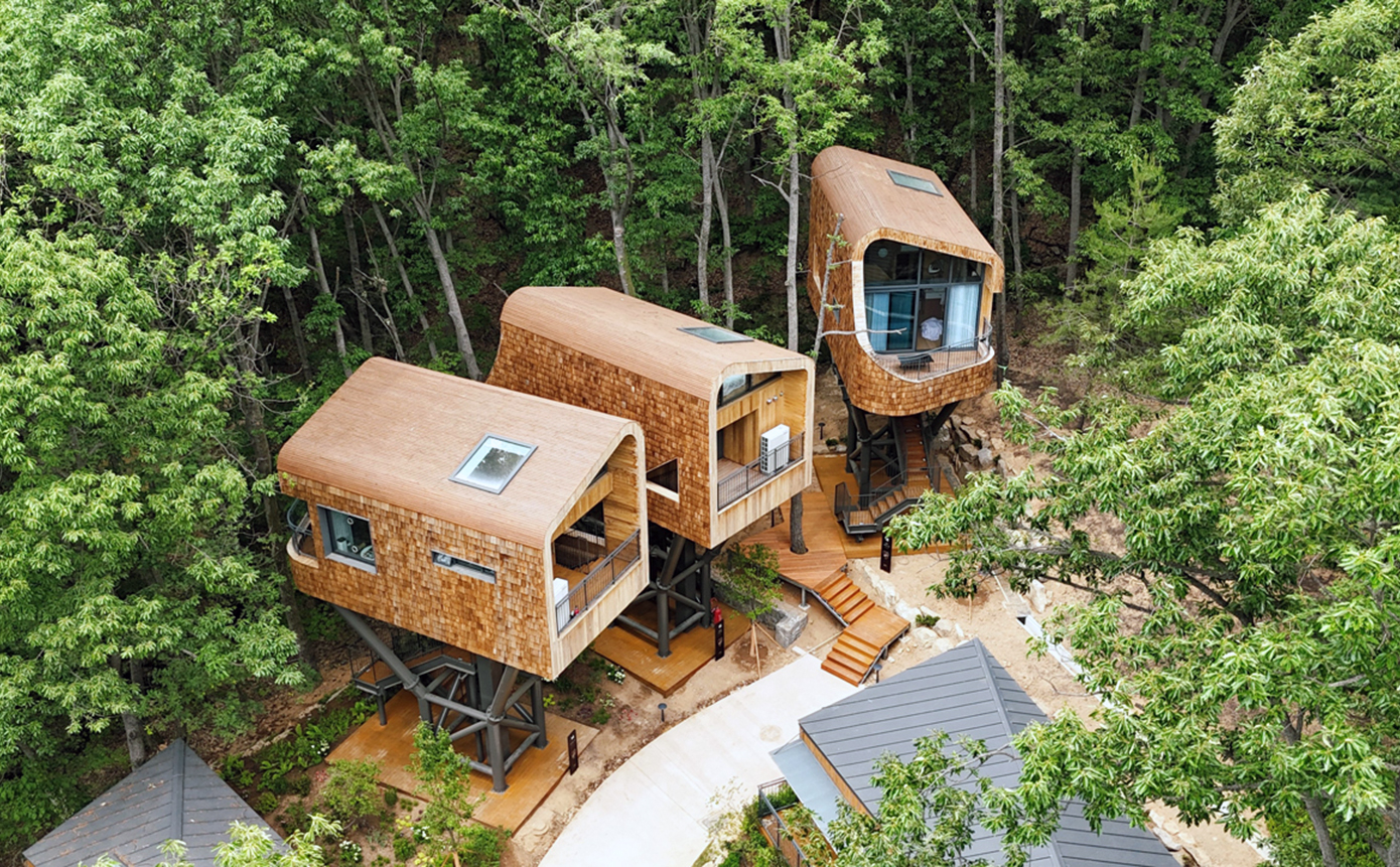 Forest Resort | Glossary